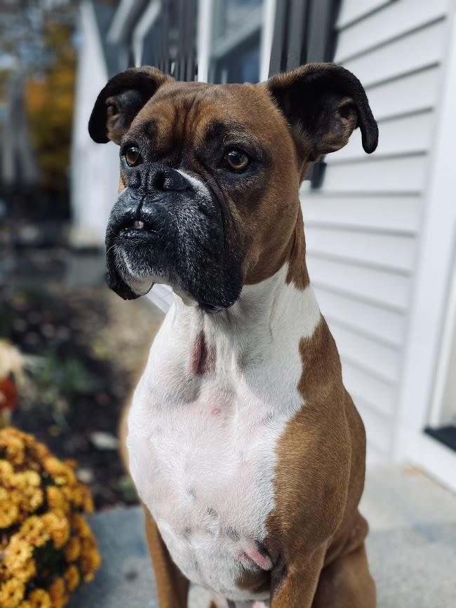 ConVal Students Recognized with Scholastic Art Awards | John Guilfoil ...