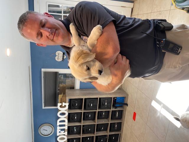 Holbrook Police Department Welcomes New Comfort Dog Blue | John ...