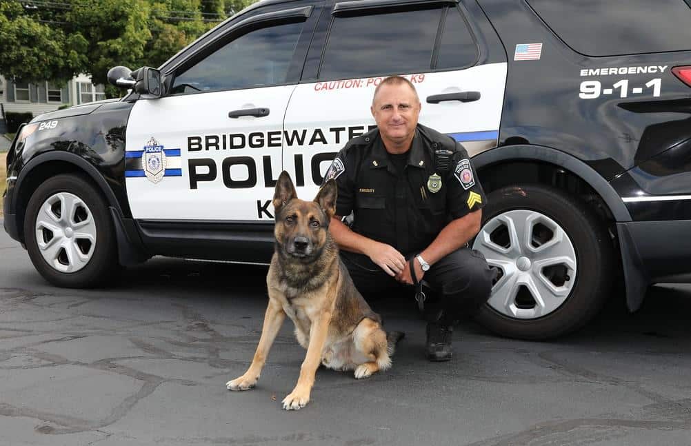 Bridgewater Police Department Introduces New K-9 McKee | John Guilfoil ...