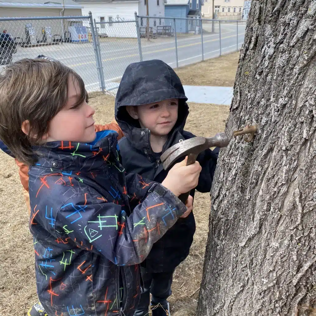 Milan Village School Kindergarteners Collect Tree Sap During ...