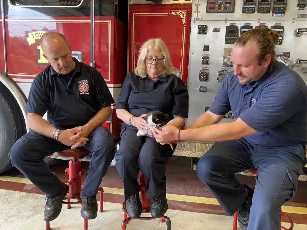Raynham First Responders Reunite With Stray Kitten Following Rescue ...