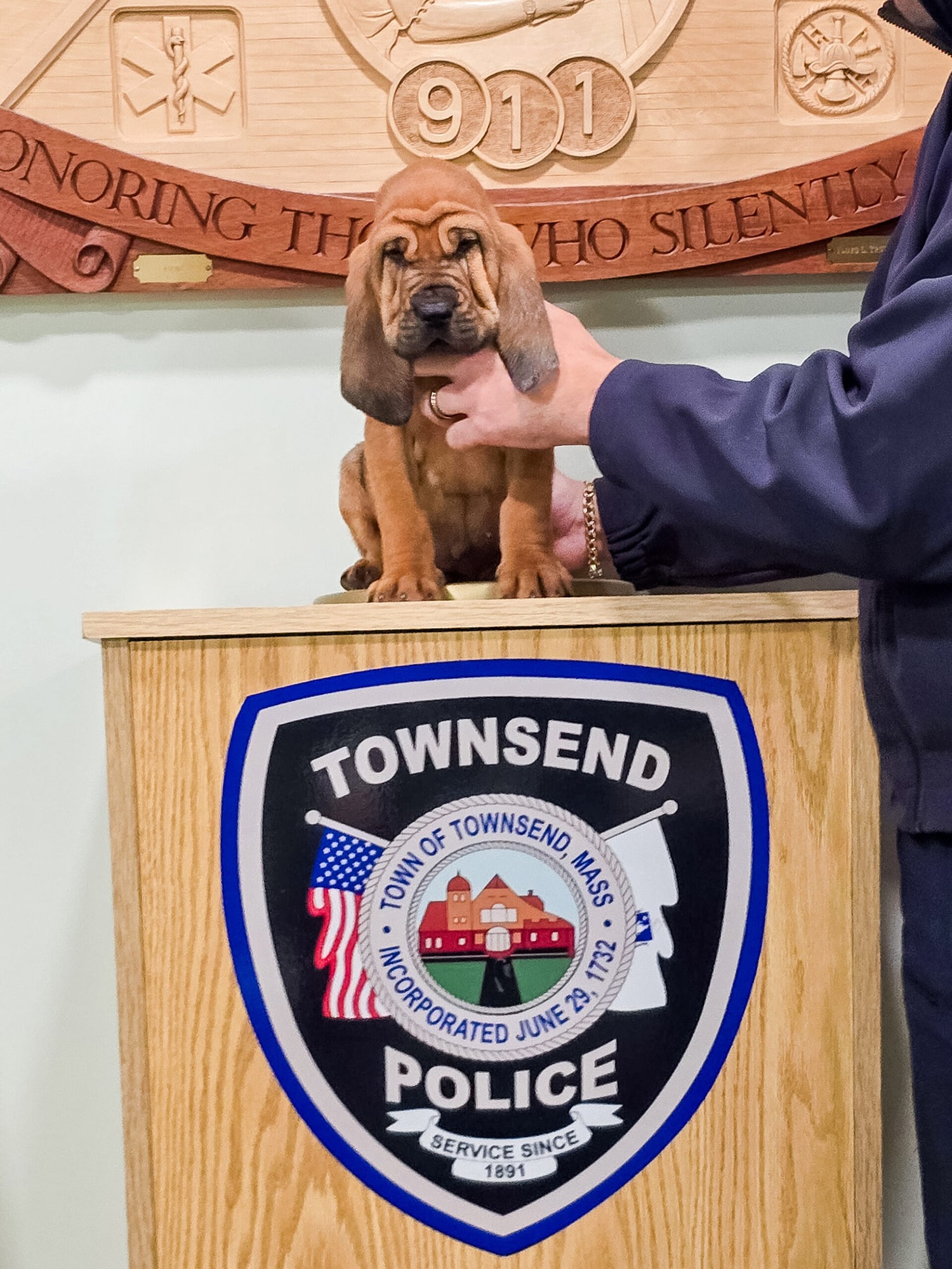 Officer Ruby: Townsend Police Department Introduces its Newest Member ...
